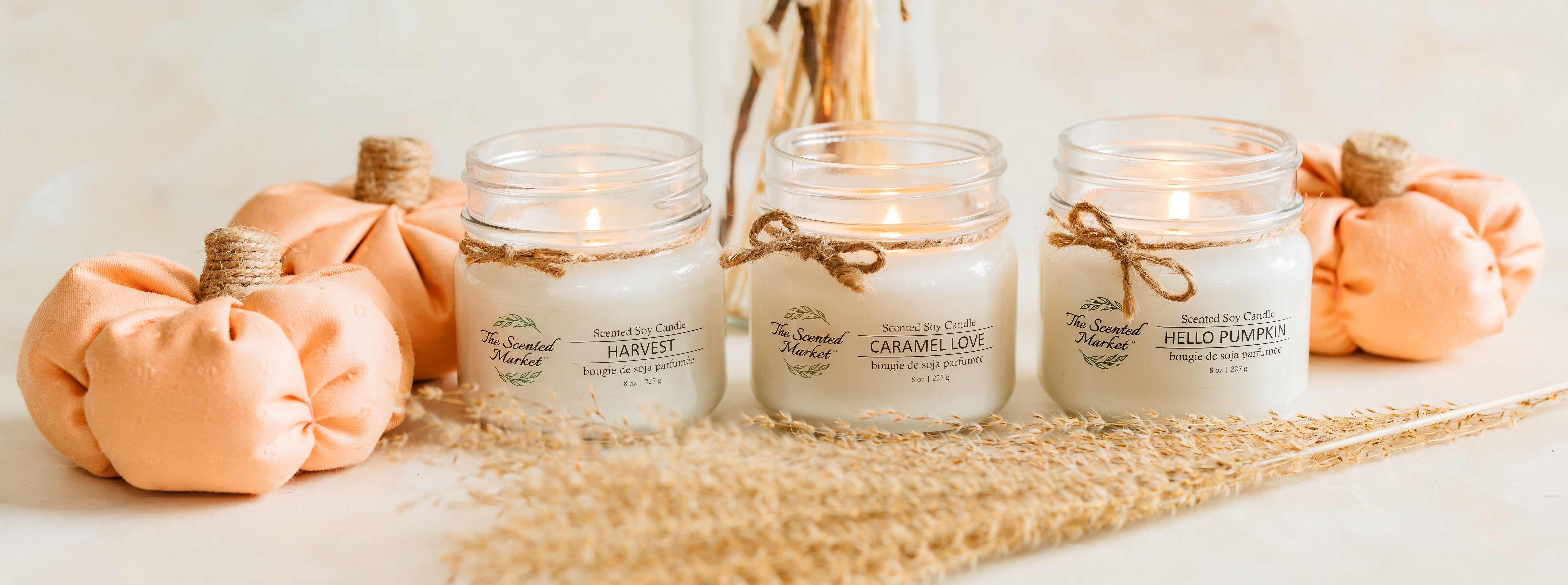 Best Fall Candles for a Cozy Autumn | The Scented Market – USA The ...
